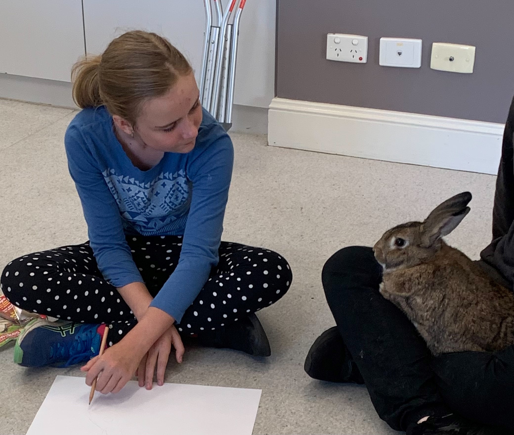 Coromandel Community Centre